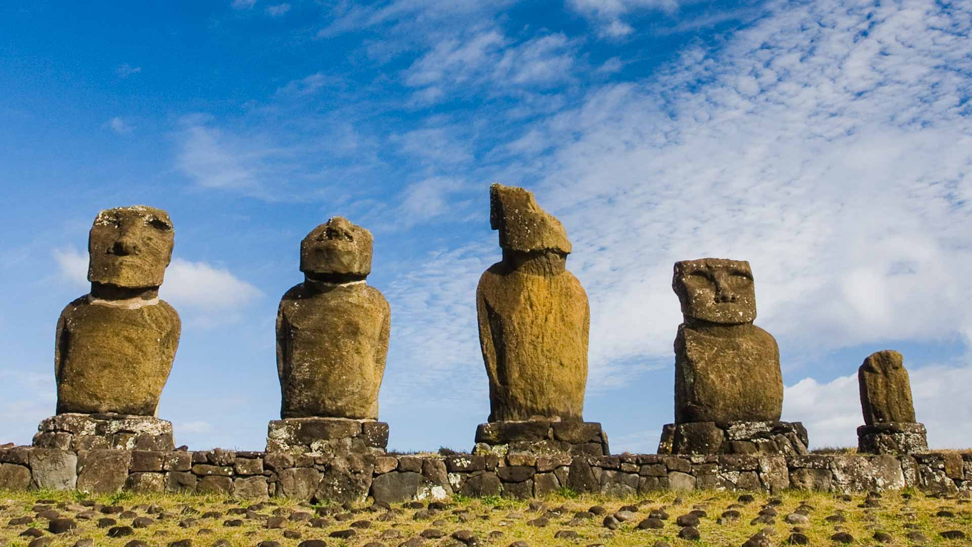 Easter Island nature trips | Easter Island Explorer | Far South Exp