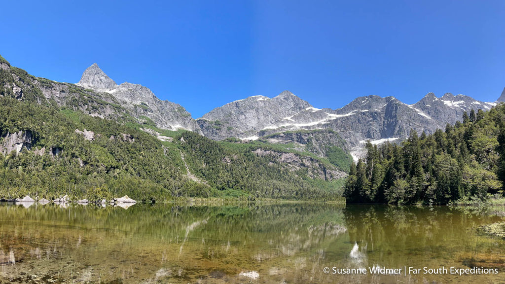 The pristine forests of Tagua Tagua Park | Patagonia | Far South Exp